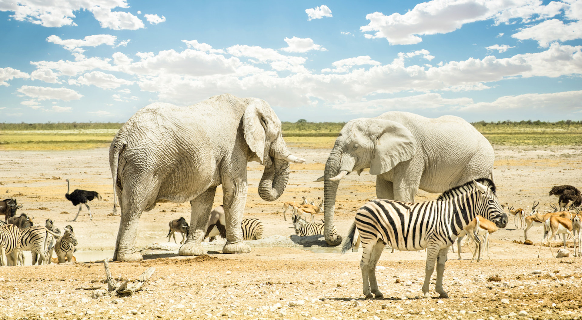 Afrikka matkat, safarit, luontomatkat, vaellukset, rannat ...